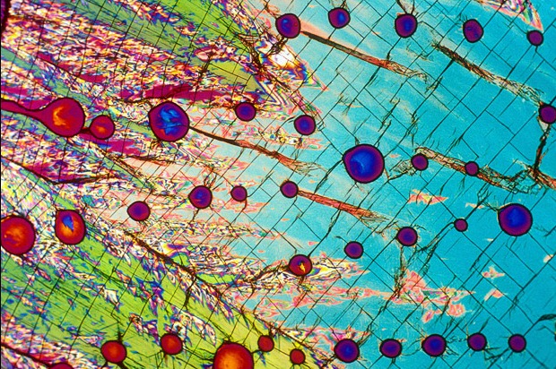 Alcohol Under The Microscope | Amusing Planet